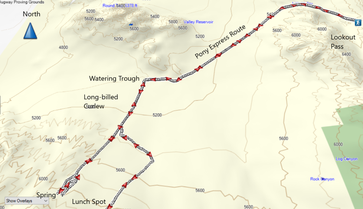 ATV Adventures: In search of wild horses on the Pony Express Trail ...